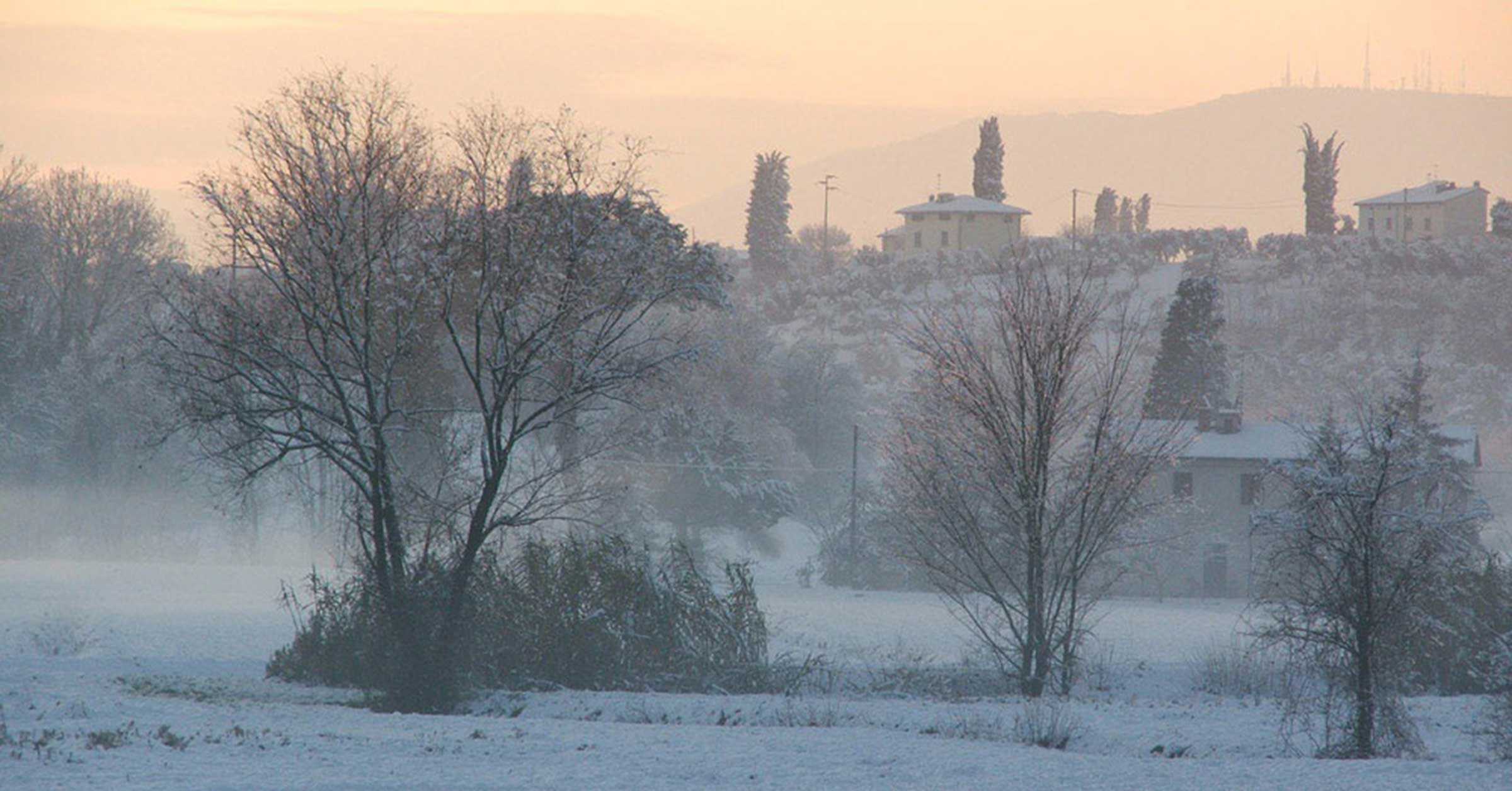 The Landscape | Contrada Massarella